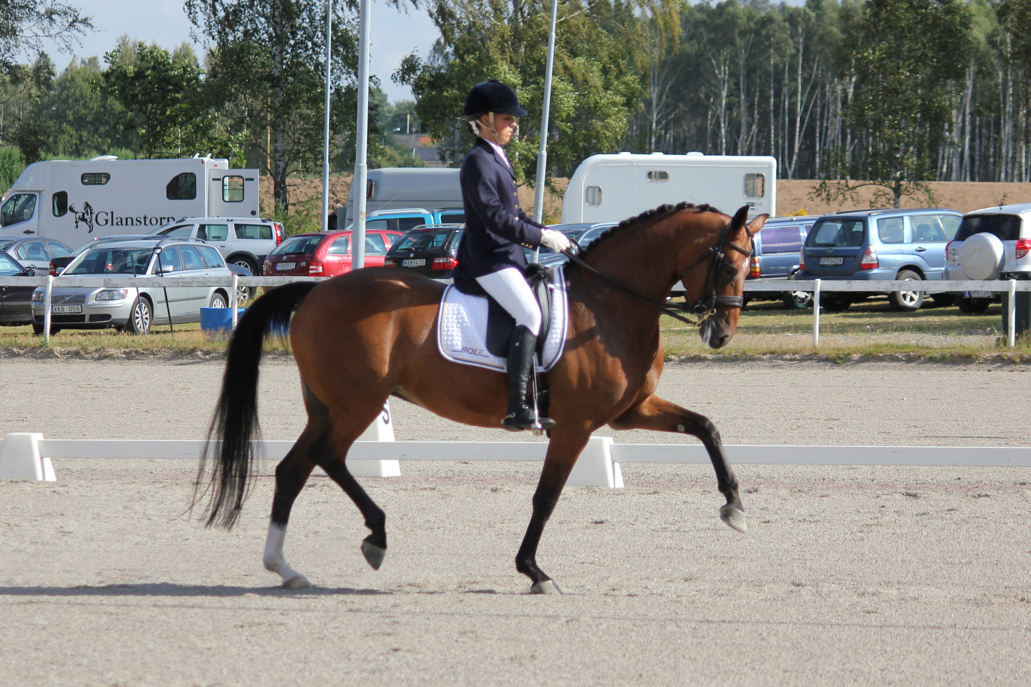 Eläinlääkäri Lotta Wallin käyttää BEMER-terapiaa hevosklinikallaan ...